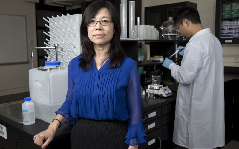 Engineering for a Sustainable Future | University at Albany